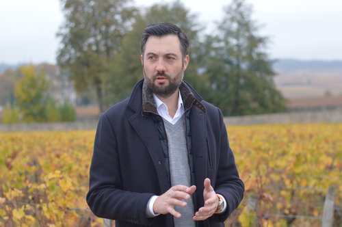 New Producer: Domaine Rougeot, Meursault | Paris Wine Company