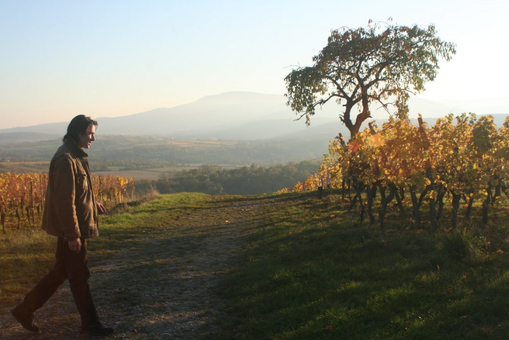 Domaine Bohn | Paris Wine Company