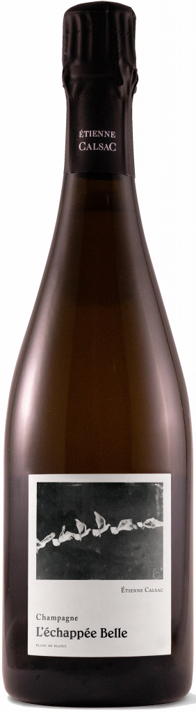 Champagne Etienne Calsac | Paris Wine Company