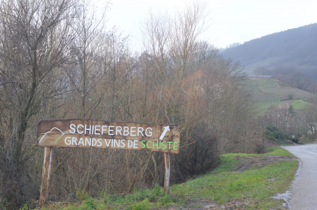 Domaine Bohn | Paris Wine Company