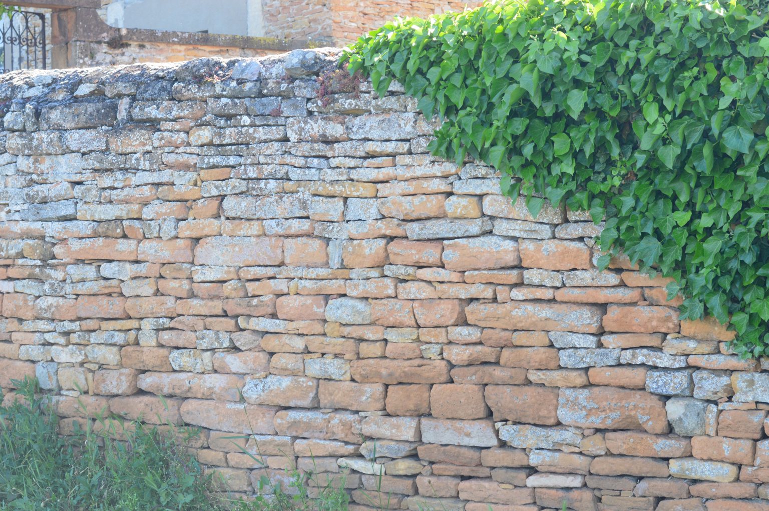 Domaine Saint Cyr | Paris Wine Company