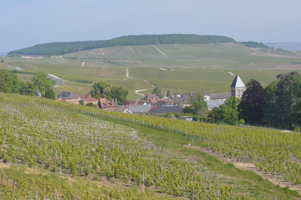 A Primer to ‘Coteaux Champenois’ Blanc Wines | Paris Wine Company