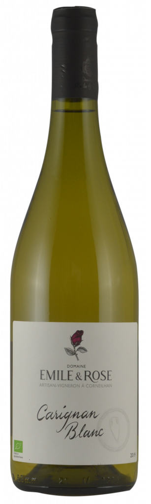 Coteaux de Béziers Carignan Blanc Amphora | Paris Wine Company