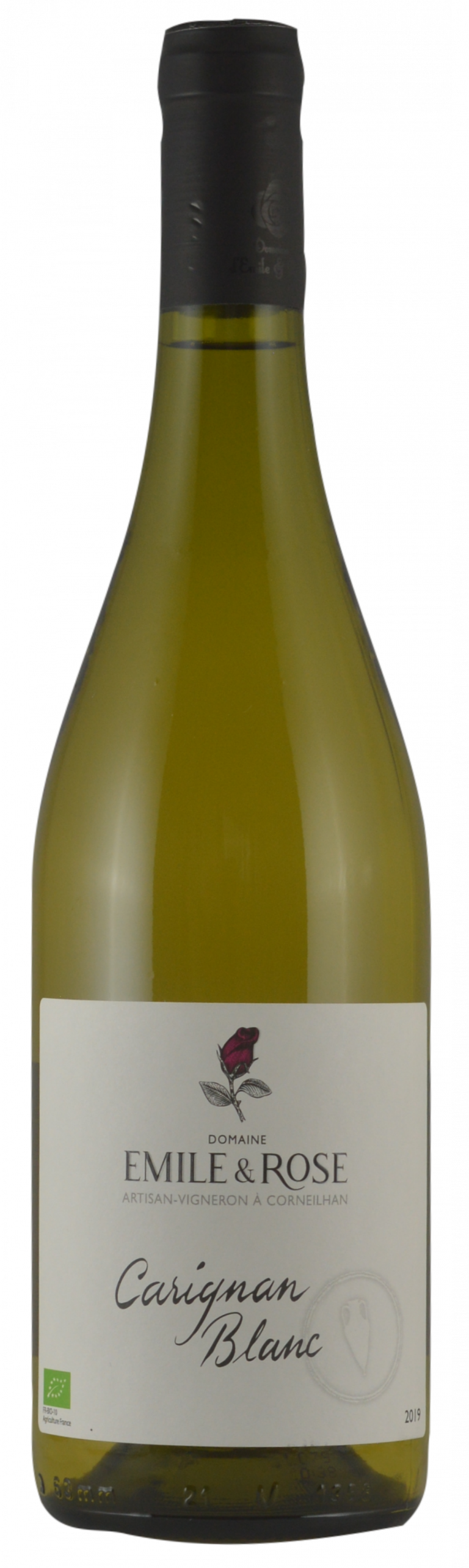 Coteaux de Béziers Carignan Blanc Amphora | Paris Wine Company
