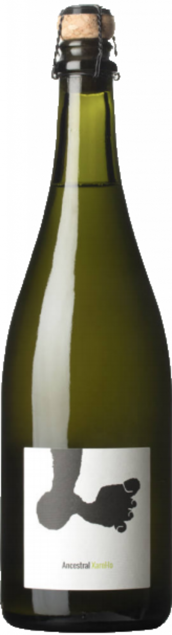 Ancestral Xarel-lo 2019 | Paris Wine Company