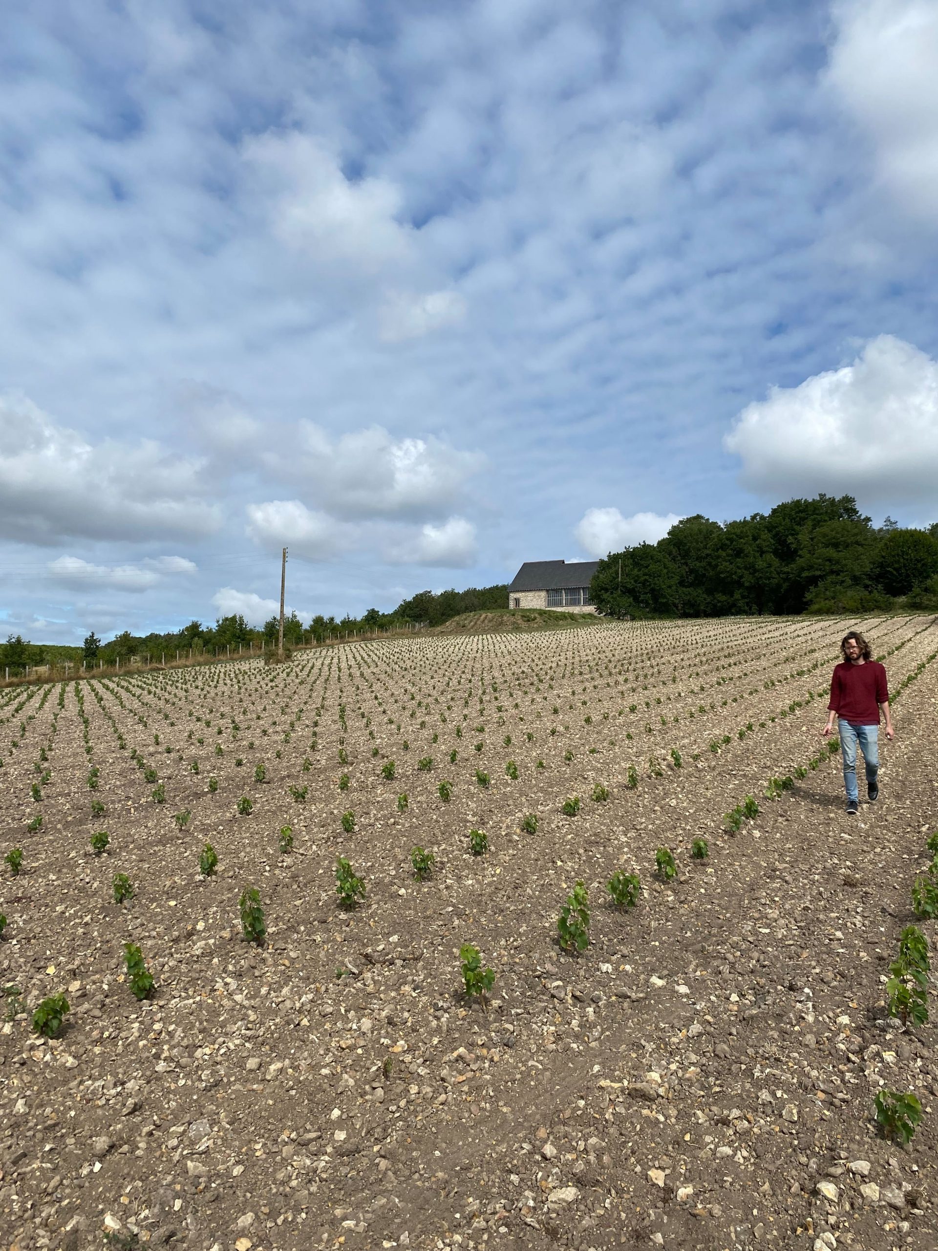 Our First Visit to the Clos des Brancs Monopole Vineyard (Hauts ...