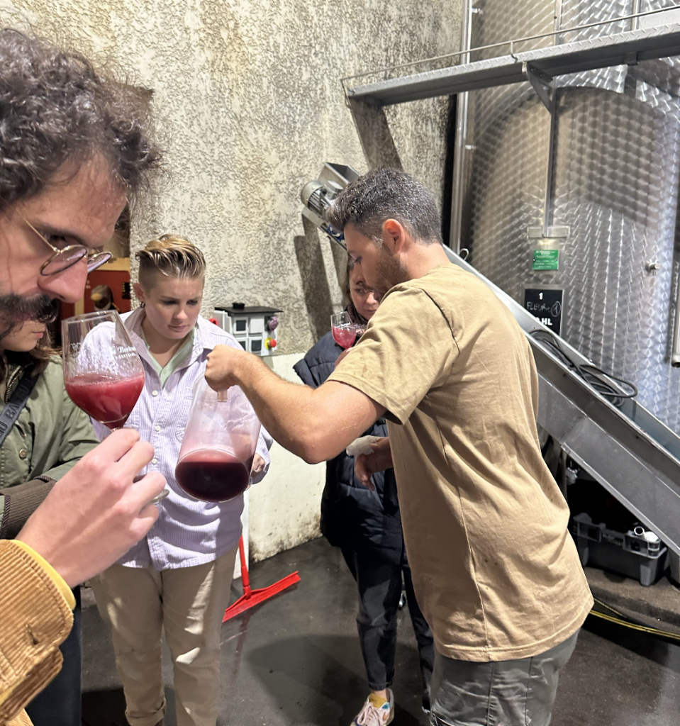 2024 Harvest Updates (Rougeot, Bertrand, Saint-Cyr) | Paris Wine Company