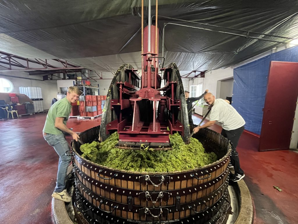 Champagne Romain Henin — La Bulle Libre | Paris Wine Company
